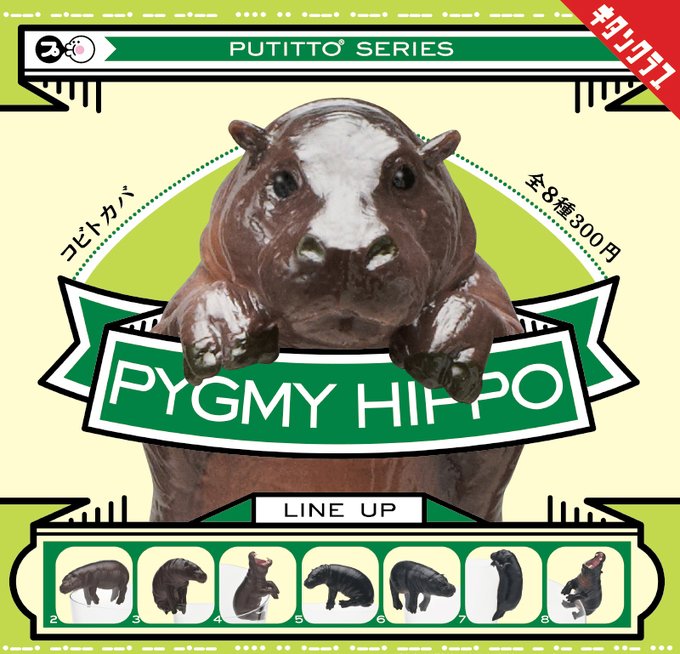 【ガチャ25年4月発売】PUTITTO コビトカバ【キタンクラブ】 | あにガチャどっとこむ